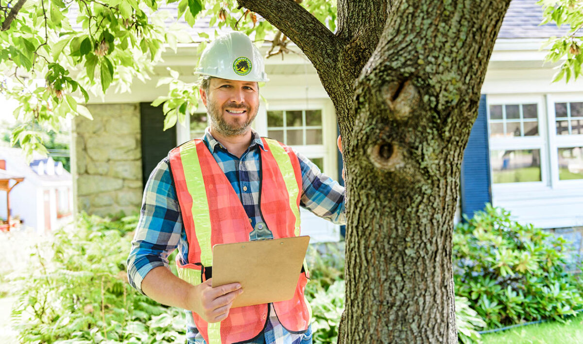 Arborist Consulting Services – Fort Walton Beach Tree Care Company ...